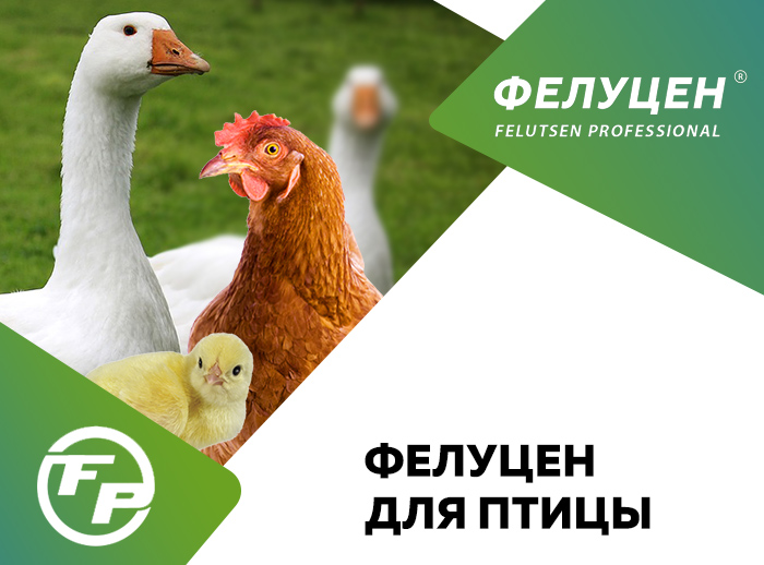Кормовые комплексы Фелуцен - Группа компаний Капитал ПРОК